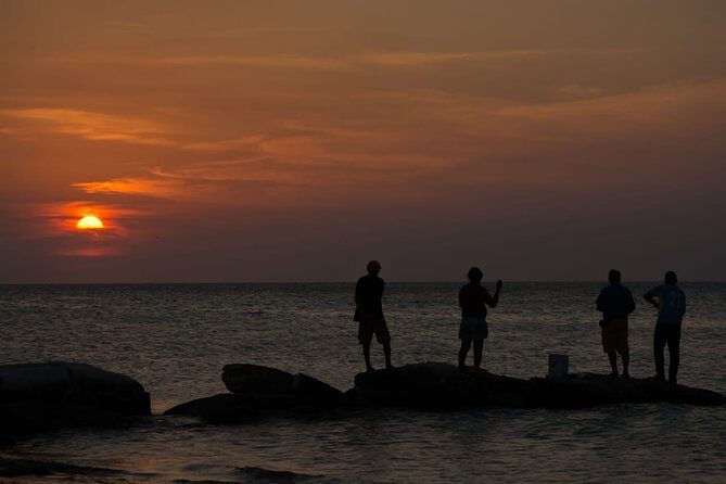 Cancun Airport to Holbox Transportation Private - Who Should Consider This Service?