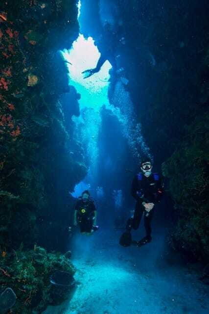 Cancun: Barracuda Dive Expedition - Who Should Consider This Tour?