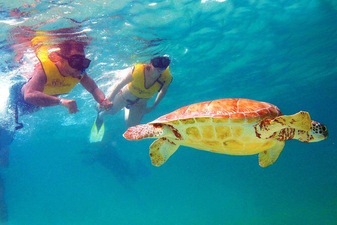 Cancun Best Deal 3x1: Snorkeling, Zip Lines & Rappel - Key Points