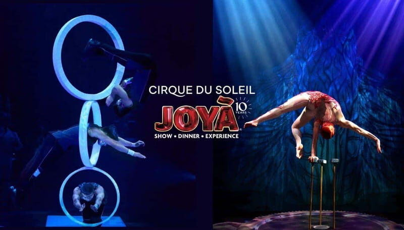 Cancún: Cirque du Soleil JOYÀ Entry Ticket and Transfer - The Experience: What You Can Expect from Start to Finish