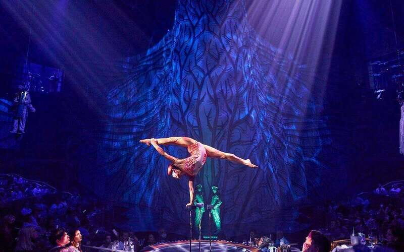 Cancún: Cirque du Soleil JOYÀ Entry Ticket and Transfer - Who Should Consider This Experience?