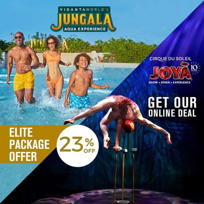 Cancún: Cirque du Soleil JOYÀ Show Ticket - A Closer Look at the Experience