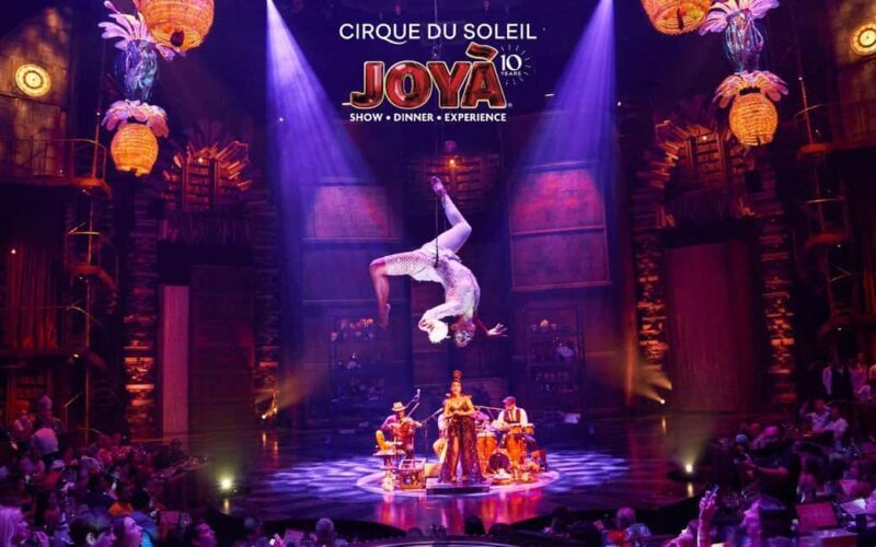 Cancún: Cirque du Soleil JOYÀ Ticket - What to Expect from Cirque du Soleil JOYÀ