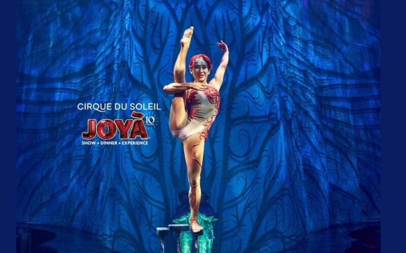 Cancún: Cirque du Soleil JOYÀ Ticket - The Sum Up: Is It Worth It?