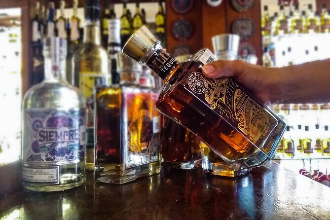 Cancun City Adventure! Private Half Day Tour - Final Thoughts