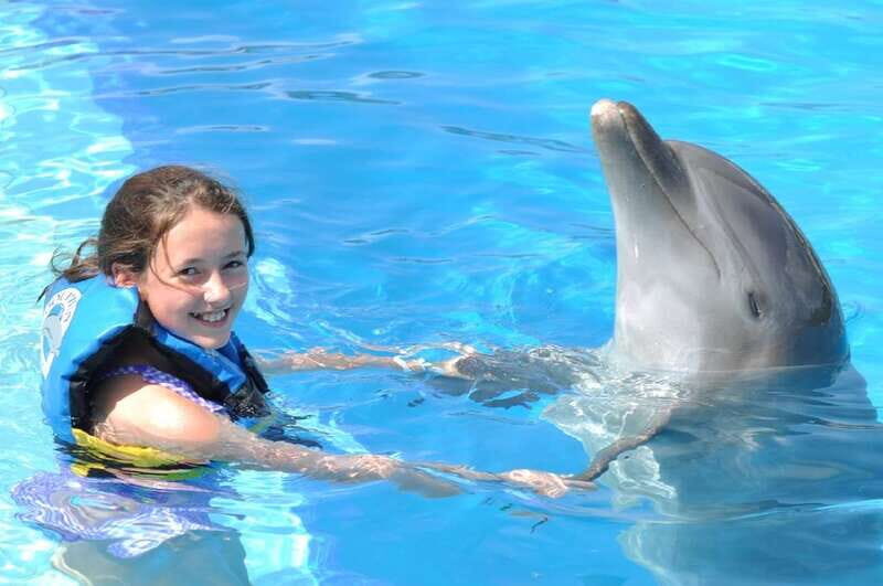 Cancún: Dolphin Encounter on Isla Mujeres with Buffet - Overview of the Experience