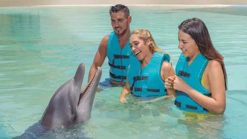 CANCUN: Dolphin Swim Adventure with buffet and soft drinks - Frequently Asked Questions
