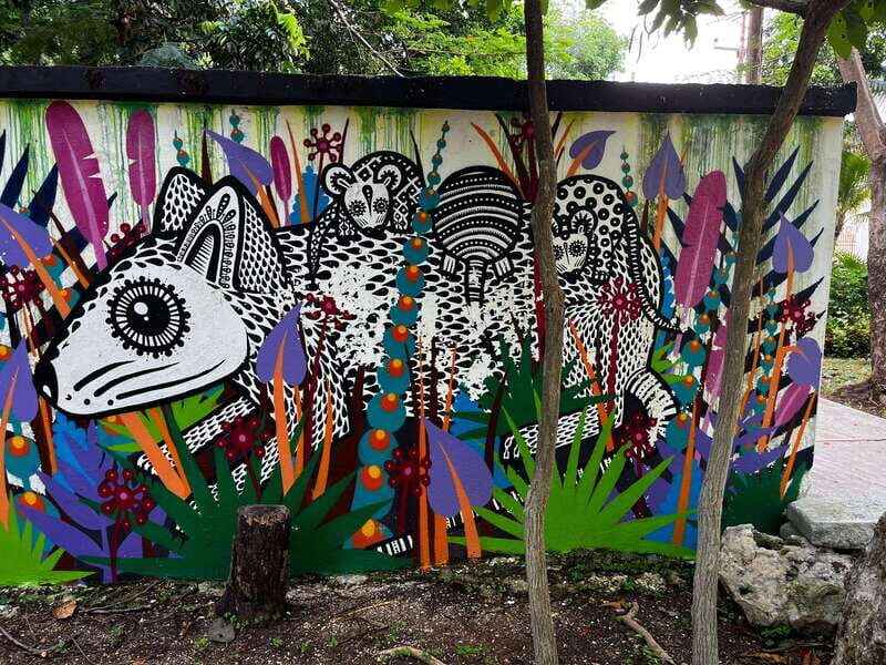 Cancun Downtown Evening Walking Tour - Group Size and Guides