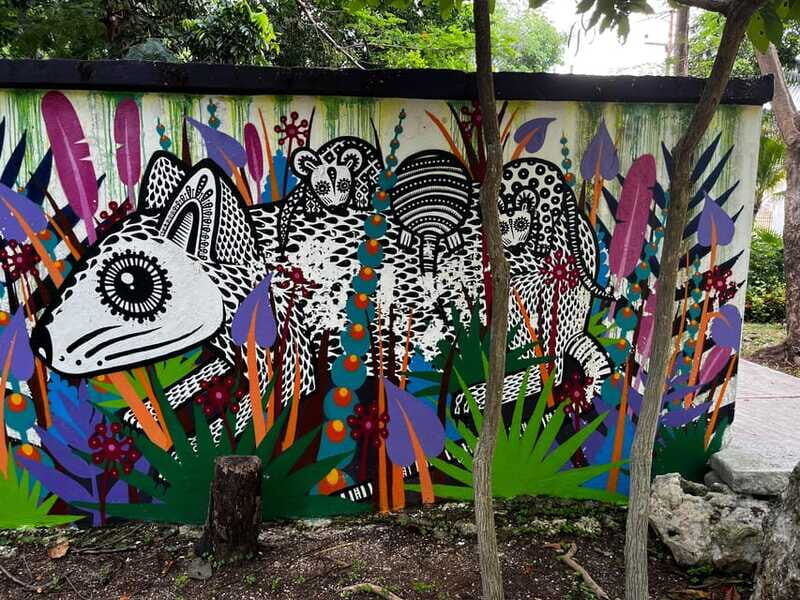 Cancun Downtown Evening Walking Tour - The Sum Up