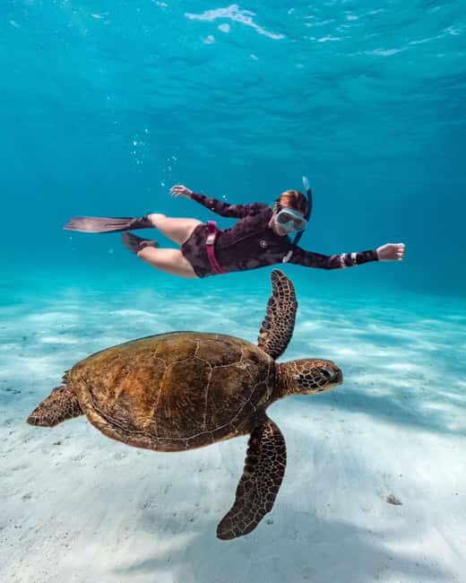 Cancun: Explore Tulum, swim with turtles, cenote, and snorkel in caves - An In-Depth Look at the Tour Itinerary
