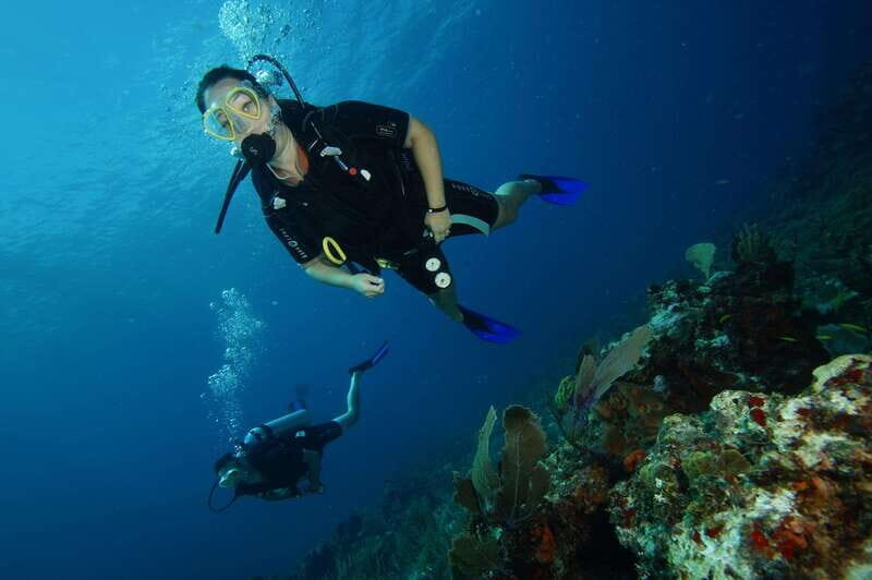 CANCUN: FIRST TIME DIVERS CANCUN - Additional Recommendations