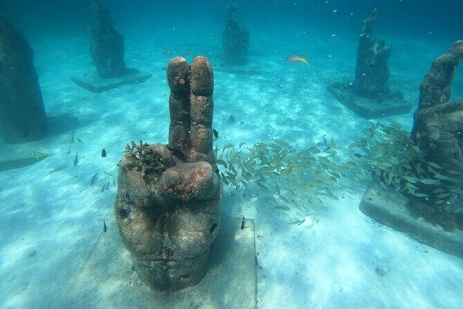 Cancun Fly and Swim Parasailing and Snorkeling Combo Tour - Who Should Book This Tour?