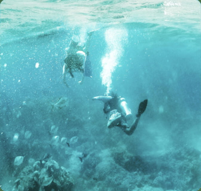 Cancun: Goliat Grouper Dive Adventure - Final Thoughts  