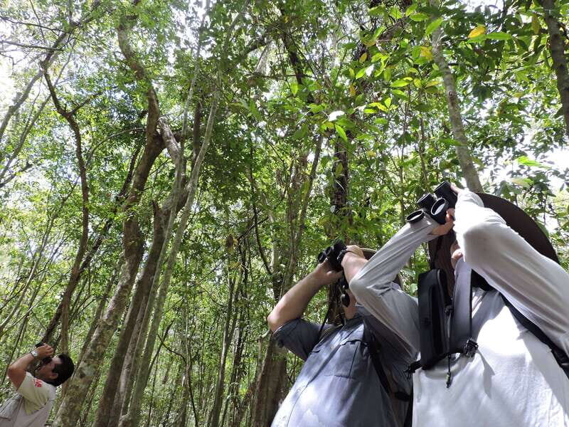 Cancún: Guided Birdwatching Hike - Why This Tour Works Well