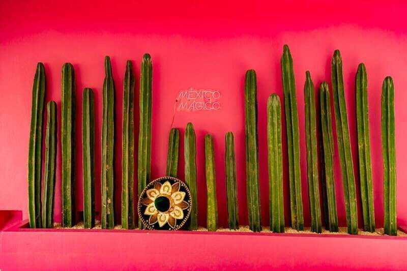 Cancun Guided Sightseeing, Shopping and Tasting Tour - The Highlights and Their Significance