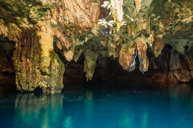 Cancun Guided Sightseeing with Taco Lunch & Cenote Experience - Who Will Love This Tour?