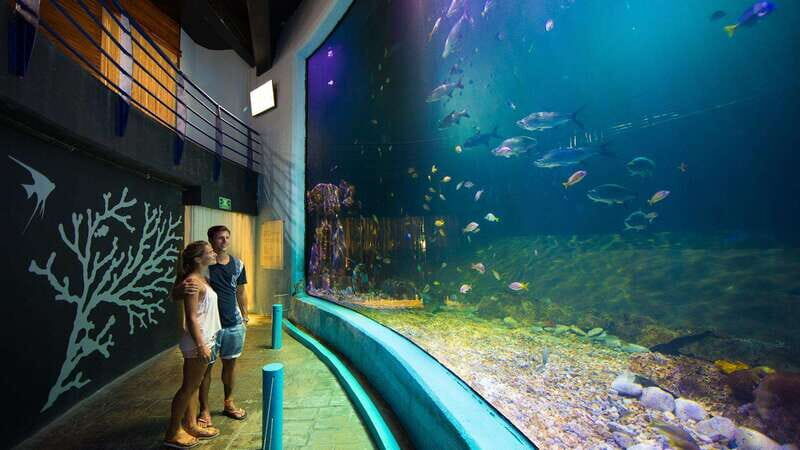 Cancún Interactive Aquarium Admission + Dolphin Presentation - Key Points