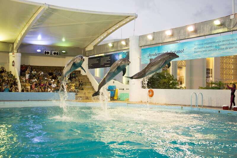 Cancún Interactive Aquarium Admission + Dolphin Presentation - Value and Practical Analysis