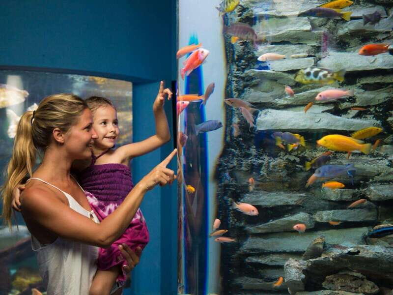 Cancún Interactive Aquarium Admission + Dolphin Presentation - Final Thoughts