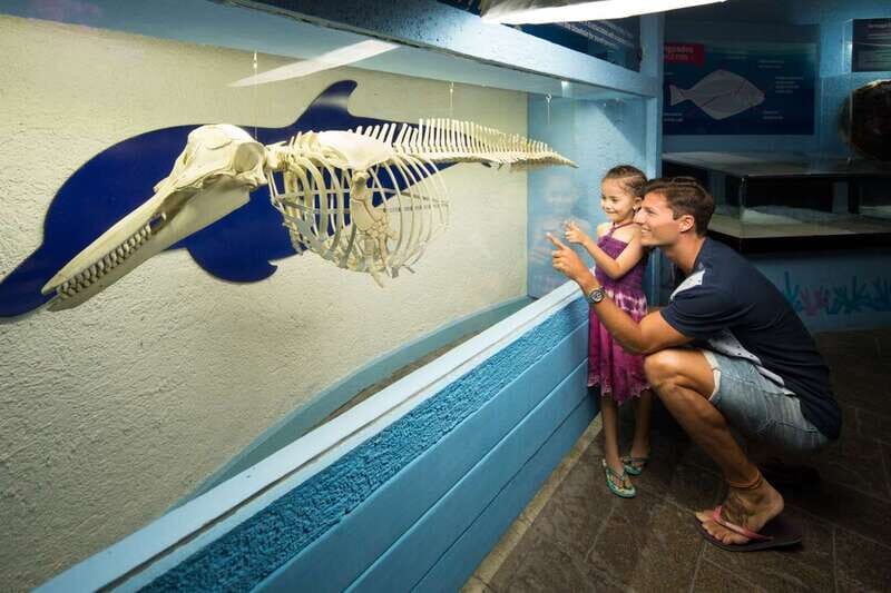 Cancún: Interactive Aquarium Admission - An Inside Look: What To Expect at Cancúns Interactive Aquarium