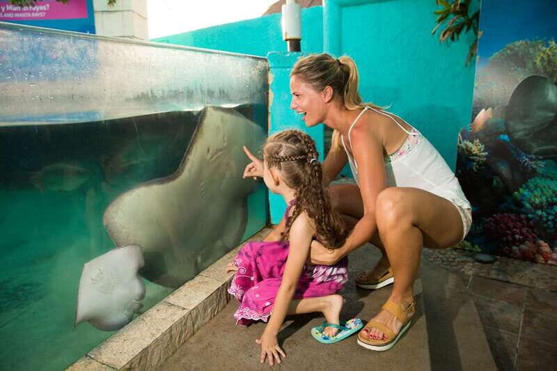 Cancún: Interactive Aquarium Admission - The Real Experience: What Our Reviewers Say