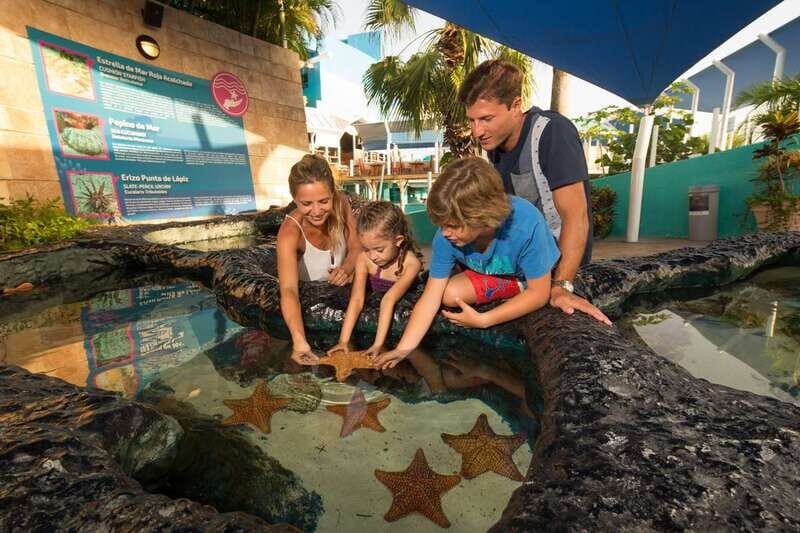 Cancún: Interactive Aquarium Admission - Practical Tips for Visiting