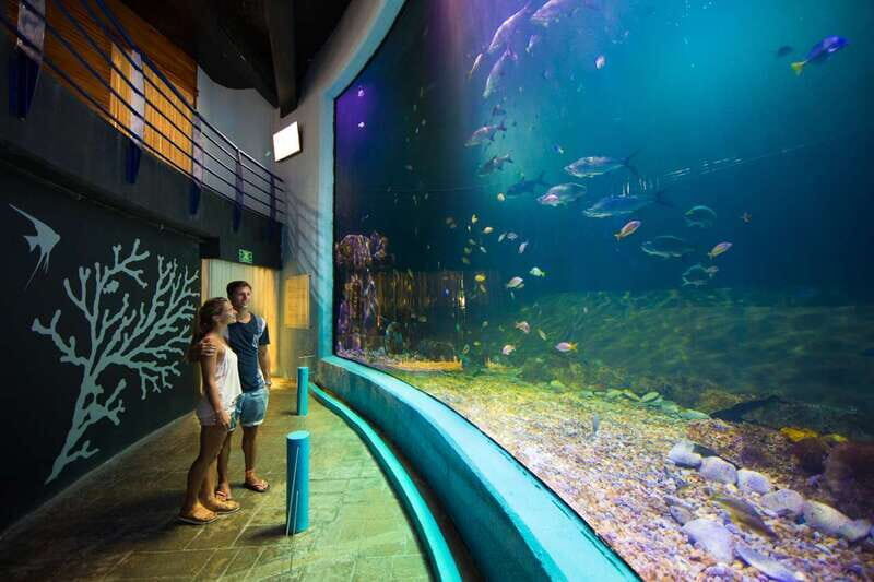 Cancún: Interactive Aquarium Admission - FAQ