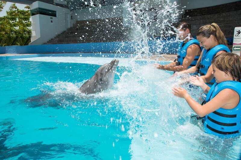 Cancun: Interactive Aquarium - Swim with dolphins Premium - The Sum Up