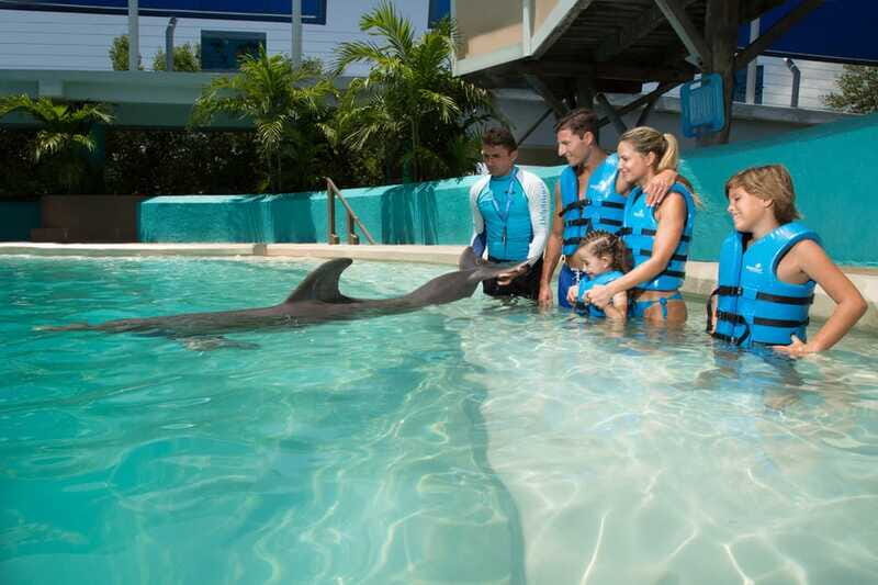 Cancun: Interactive Aquarium - Swim with Dolphins Splash - Final Thoughts: Is It Worth It?