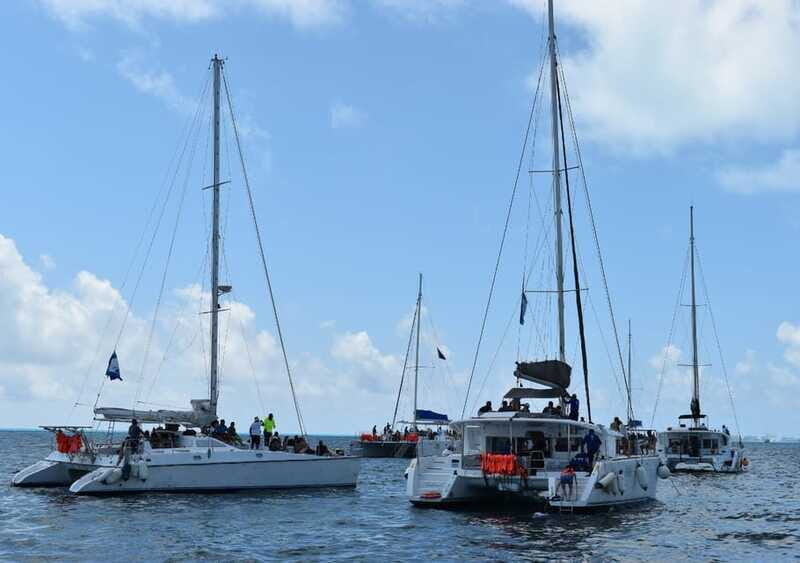 Cancun: Isla Mujeres Only Adults Catamaran, drinks & snorkel - Final Thoughts: Is It Worth It?