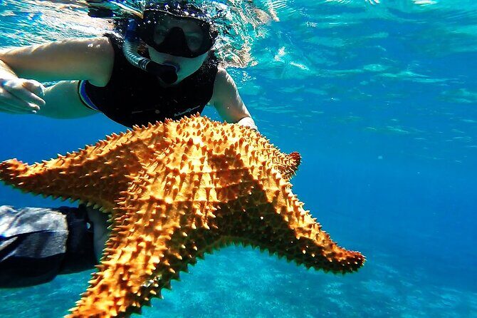 Cancun Jungle Tour with Speedboat and Snorkeling - FAQ