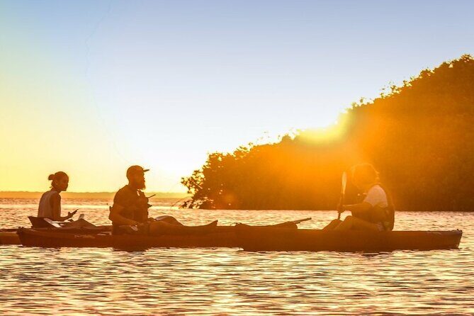 Cancun Lagoon Sunrise Kayak Adventure - What to Expect on the Cancun Lagoon Sunrise Kayak Adventure