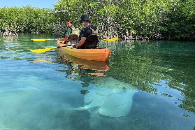 Cancun Lagoon Sunrise Kayak Adventure - FAQ