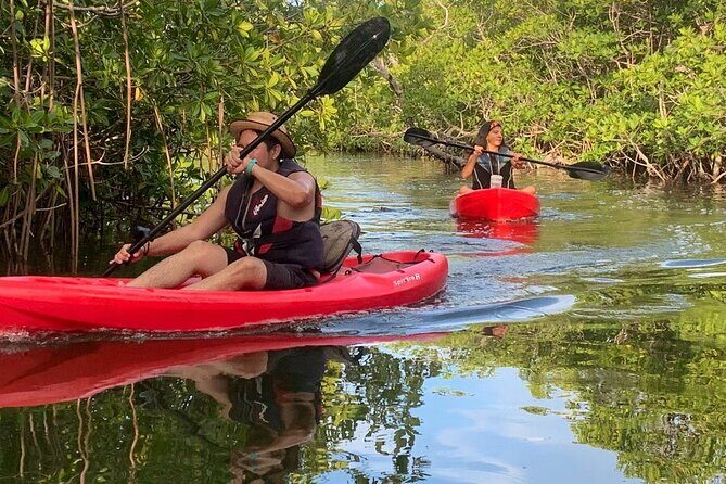 Cancun Lagoon Sunset Kayak Adventure - Summary: Who Is This Tour Perfect For?