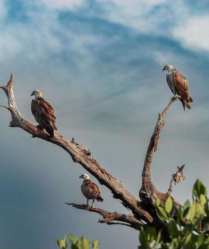 Cancun: Morning Kayak Adventure - Final Thoughts
