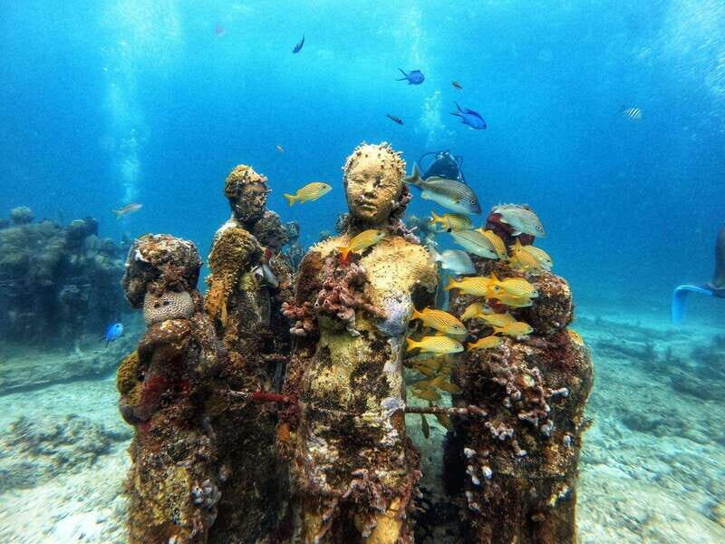 Cancun: Musa Underwater Museum & Reef Discover Scuba Diving - Key Points
