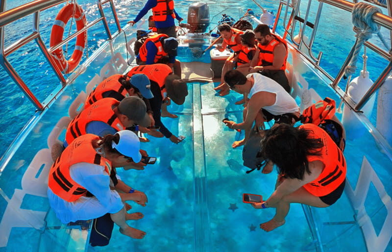 Cancún: Nichupté Lagoon Transparent Boat Tour with Drinks - The Sum Up