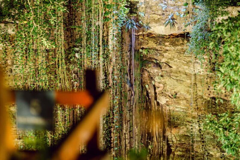 Cancun or Merida: Day of the Dead celebration with taco buffet. - FAQs