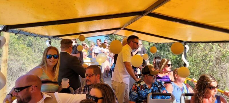 Cancun: Private 3 Hour Party Bus Experience - What You Can Expect on the Bus