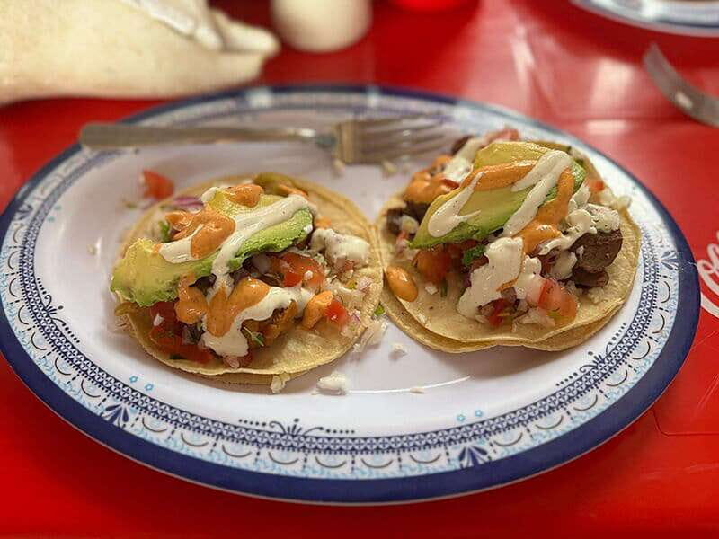 Cancún: Puerto Morelos City & Taco Tour - Key Points