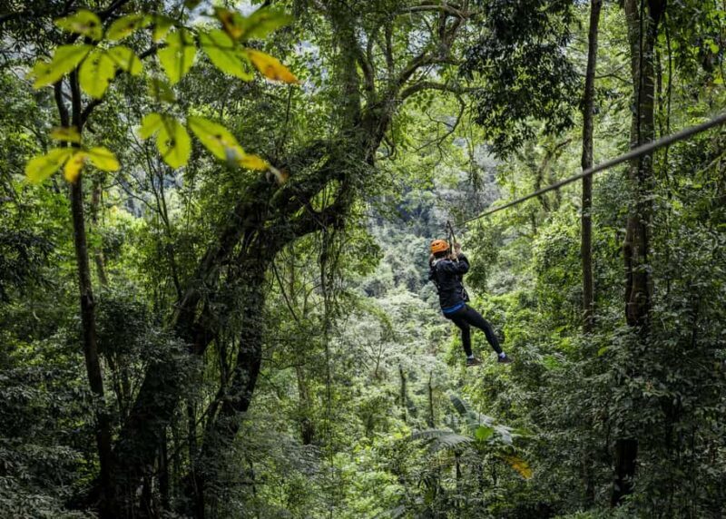 Cancun: Quad biking, zip lines, and swimming in a jungle cenote - What to Expect from This Cancun Adventure