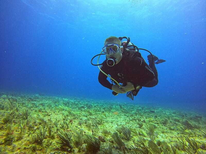 Cancun: Scuba Diving for Certified Divers, 3 options to dive - Why This Tour Offers Great Value