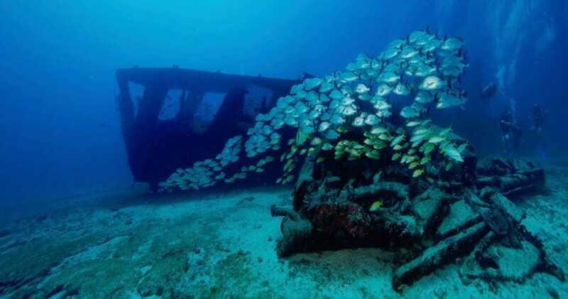 Cancun: Shipwreck and Reef Dives - Practical Considerations