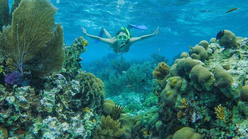 Cancun: Snorkel in MUSA Undewater Museum and Reef - Key Points