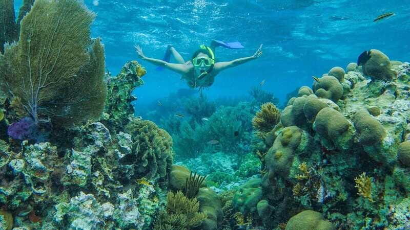 Cancun: Snorkel in MUSA Undewater Museum and Reef - Who Should Consider This Tour?