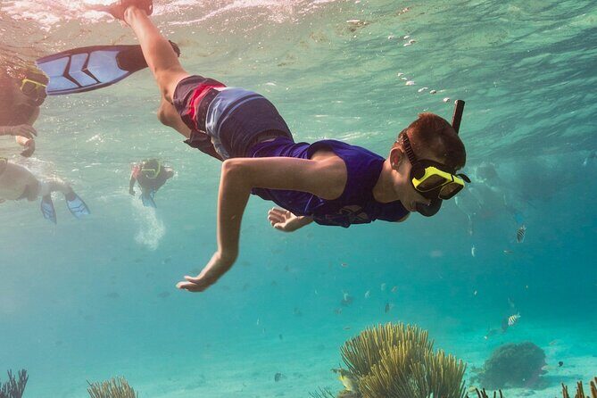 Cancun: Snorkeling Adventure at Puerto Morelos Reef - Discovering the Caribbean’s Underwater Marvels