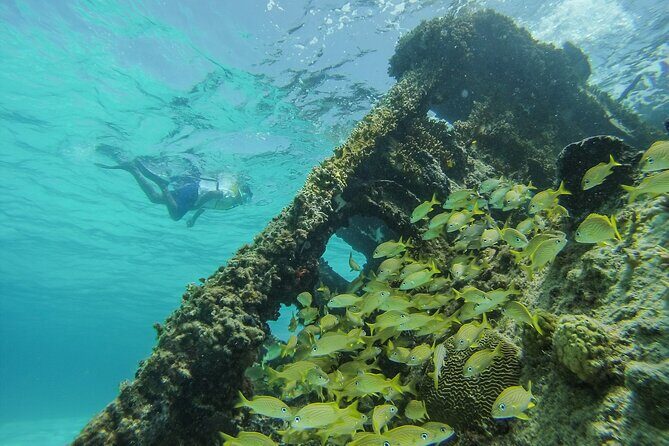Cancun Snorkeling Adventure: Underwater Museum, Reef & Shipwreck - FAQ