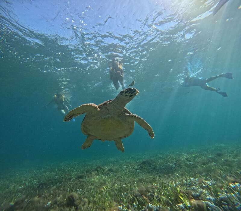 Cancun: Snorkeling Boat Tour with Gear - A Closer Look at the Cancun Snorkeling Boat Tour