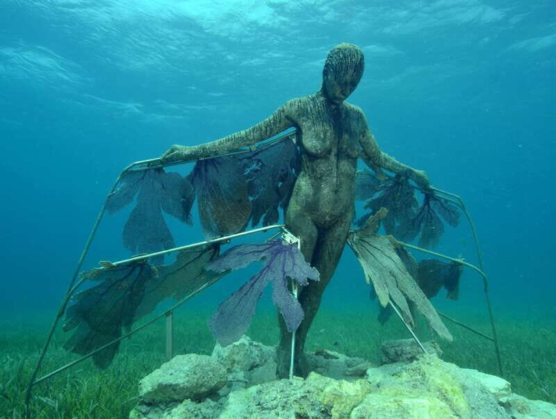 Cancun: Snorkeling Tour at MUSA The Underwater Museum - Pricing and Value Analysis
