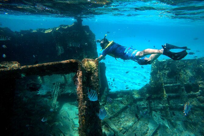 Cancun Snorkeling Tour: Swim with Turtles, Reef, Underwater Museum and Shipwreck - Who Should Consider This Tour?